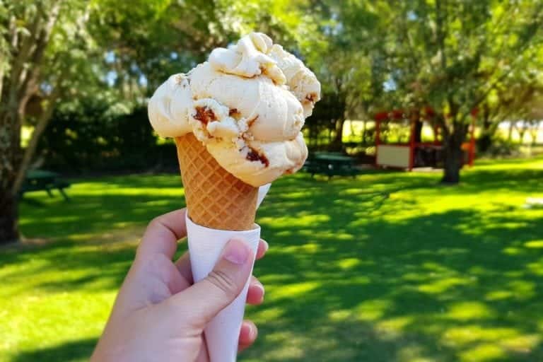 Zamia Cafe, Kings Park - Buggybuddys guide to Perth