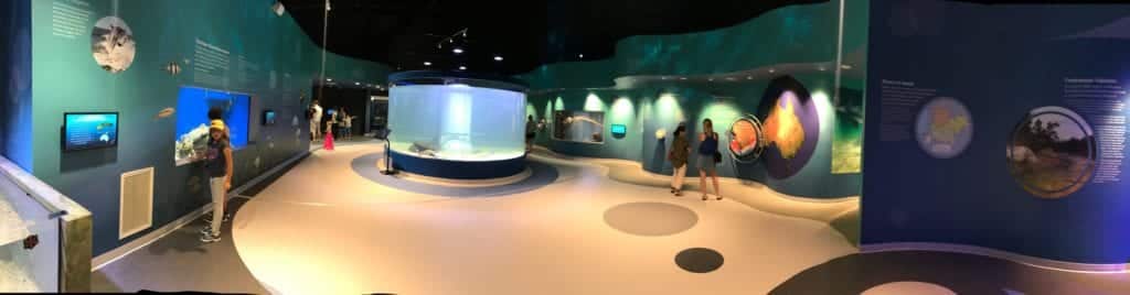 Dolphin Discovery Centre, Bunbury - Buggybuddys guide to Perth