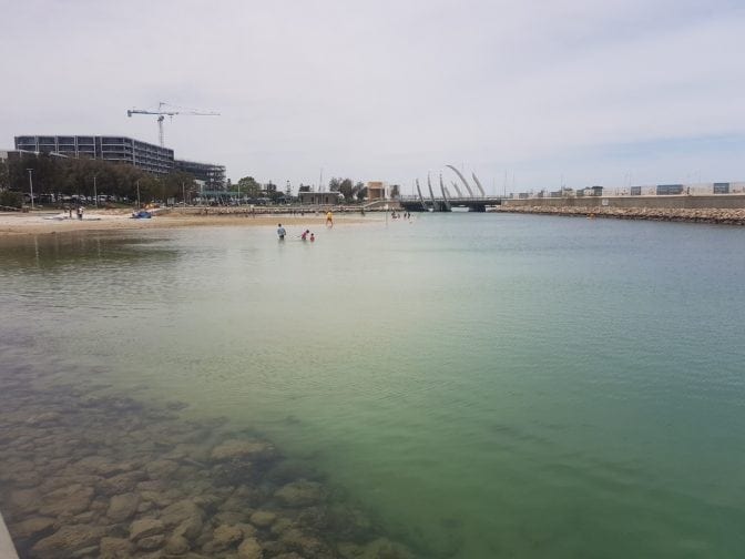 Port Coogee Marina - Buggybuddys guide for families in Perth