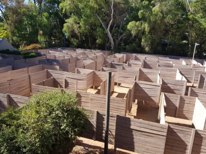 The Best Mazes in Perth and WA - Buggybuddys guide to Perth