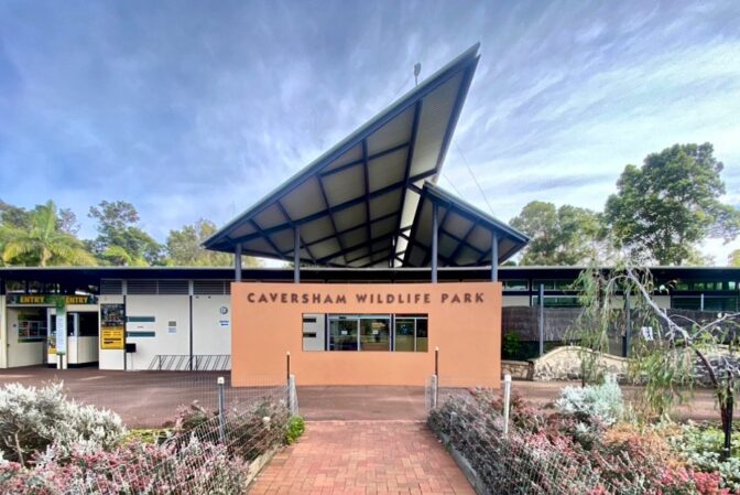 Caversham Wildlife Park - Buggybuddys guide to Perth