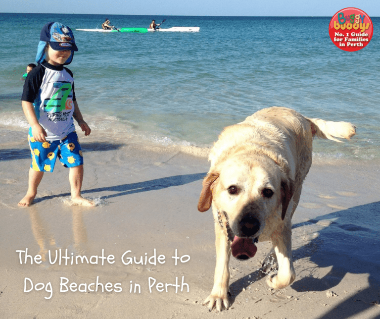 Dog Beaches in Perth - find a local dog beach near you and around Perth
