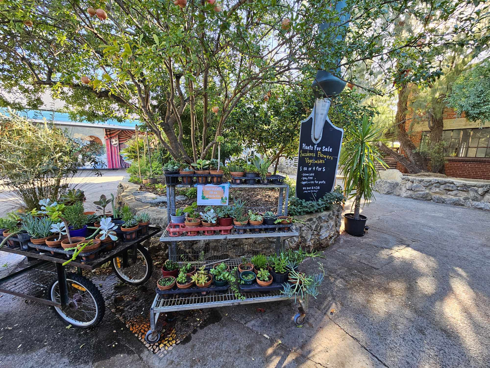 Be Free Cafe at Perth City Farm Cafe, East Perth - Buggybuddys guide to ...