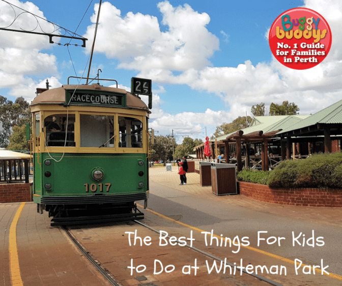 The Best Water Slides in Perth - Buggybuddys guide to Perth