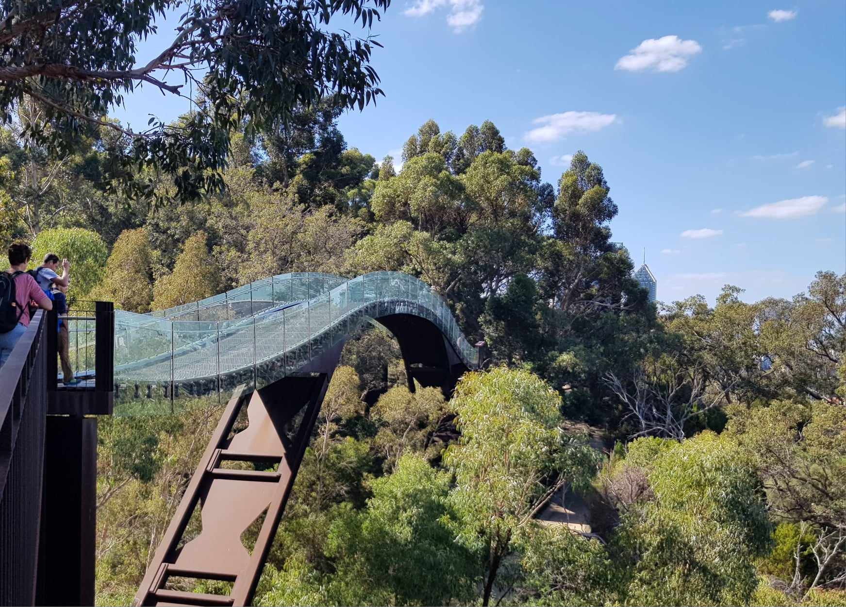 Things to do in Kings Park with Kids - Buggybuddys guide to Perth