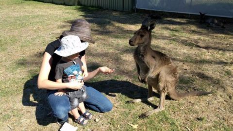 Things to do in Bunbury with Kids - Buggybuddys guide to Perth