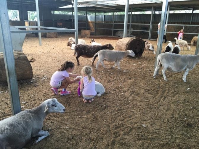 Caversham Wildlife Park - Buggybuddys guide to Perth