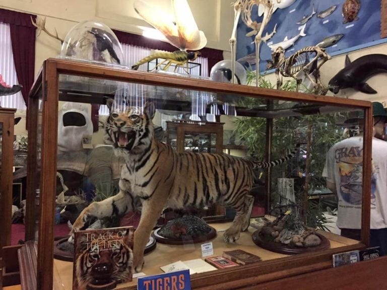 Best Museums in Perth for Kids - Buggybuddys guide to Perth
