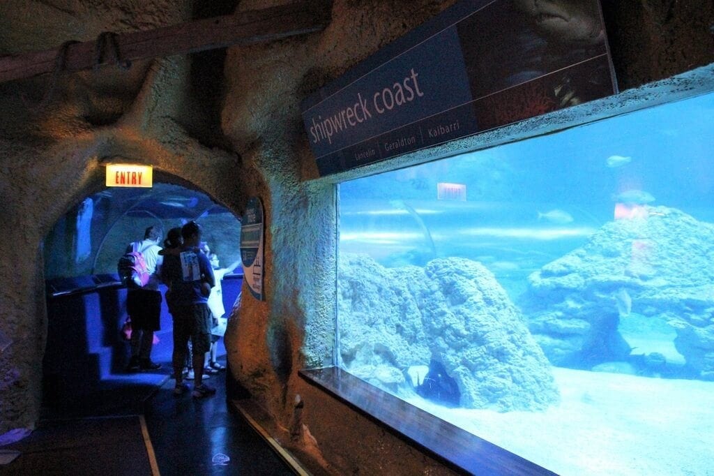 Things to do on a Rainy Day in Perth - Best Indoor Activities