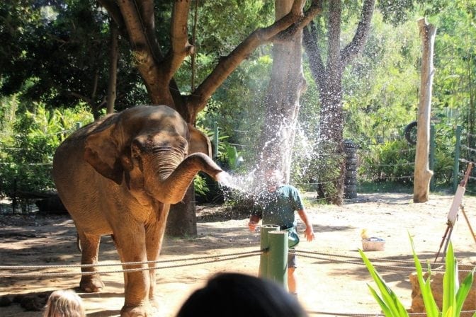 Best Museums in Perth for Kids - Buggybuddys guide to Perth