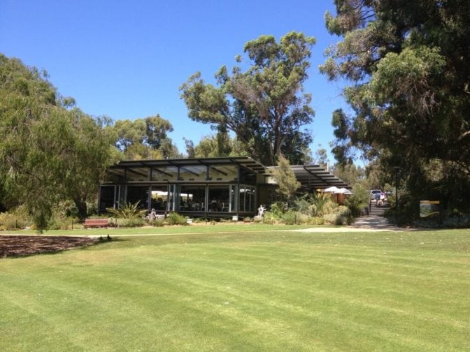 May Drive Parklands, Kings Park - Buggybuddys guide for families in Perth