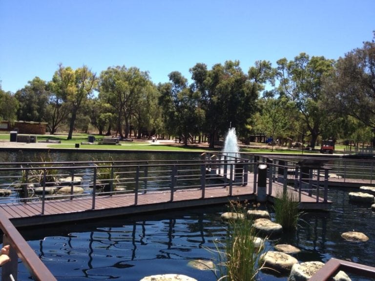 May Drive Parklands, Kings Park - Buggybuddys guide for families in Perth