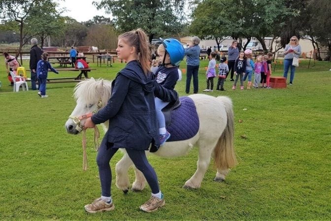 Swan Valley Cuddly Animal Farm - Buggybuddys guide to Perth