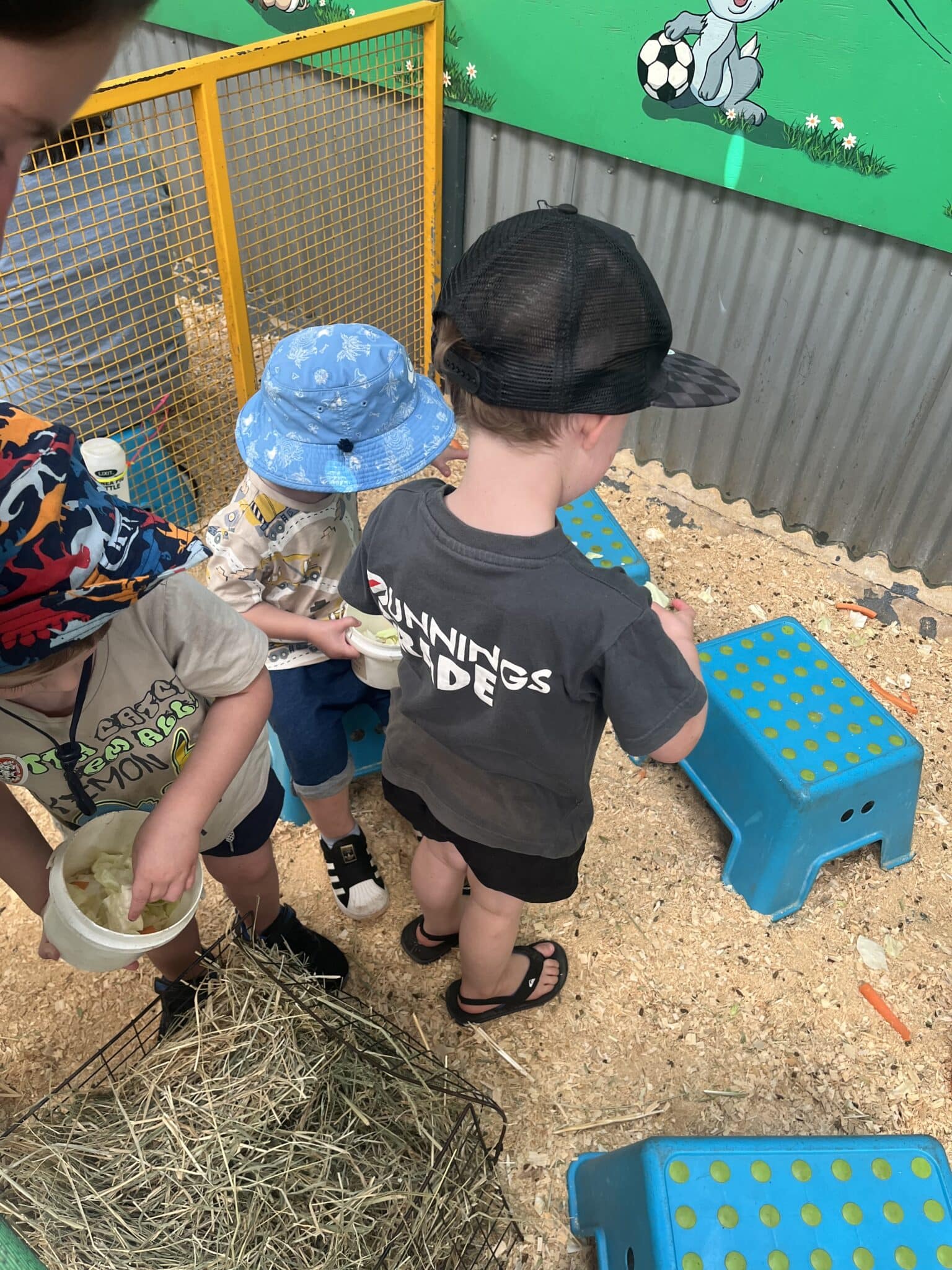 Swan Valley Cuddly Animal Farm - Buggybuddys guide to Perth