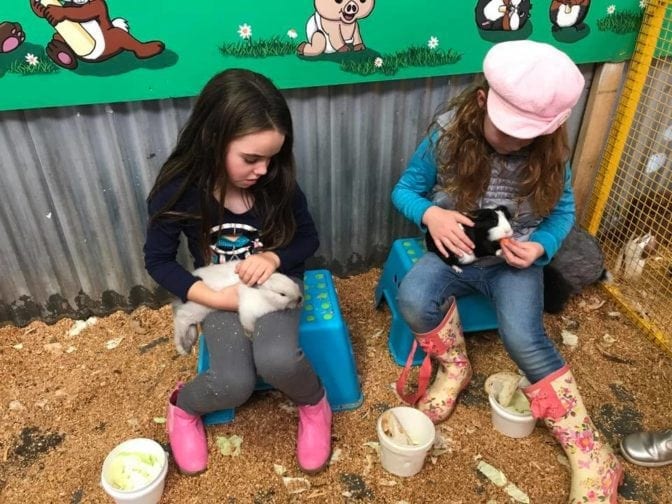Swan Valley Cuddly Animal Farm - Buggybuddys guide to Perth