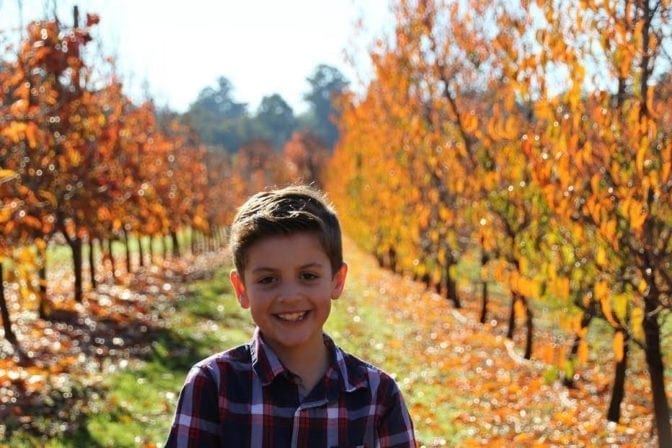 Raeburn Orchards, Roleystone - Buggybuddys guide to Perth