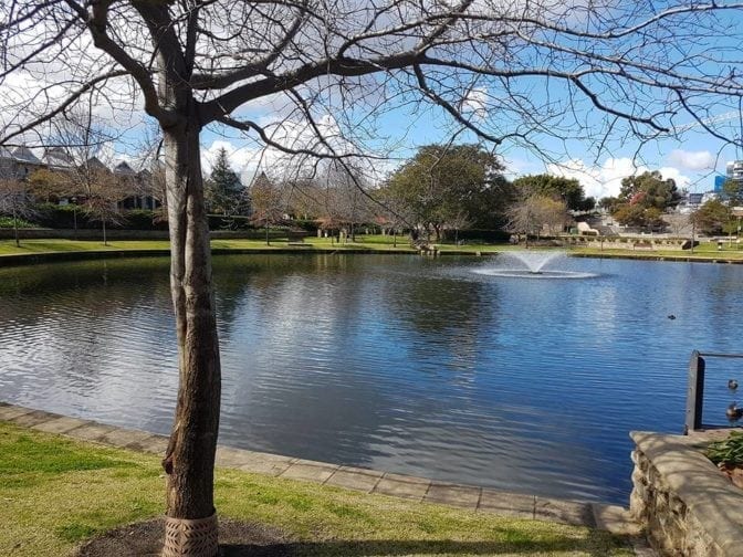 Subiaco Common Play Space - Buggybuddys guide for families in Perth