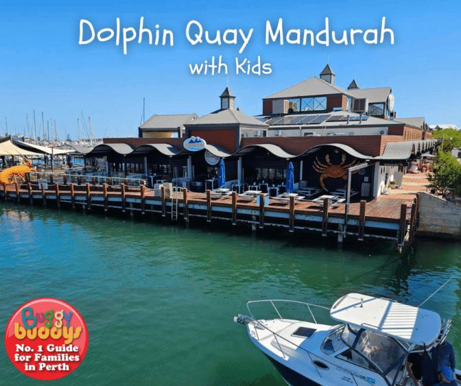 Things to do at Dolphin Quay, Mandurah - Buggybuddys guide to Perth