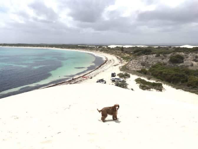 Sandy Cape Recreation Park, Dandaragan - Buggybuddys guide to Perth
