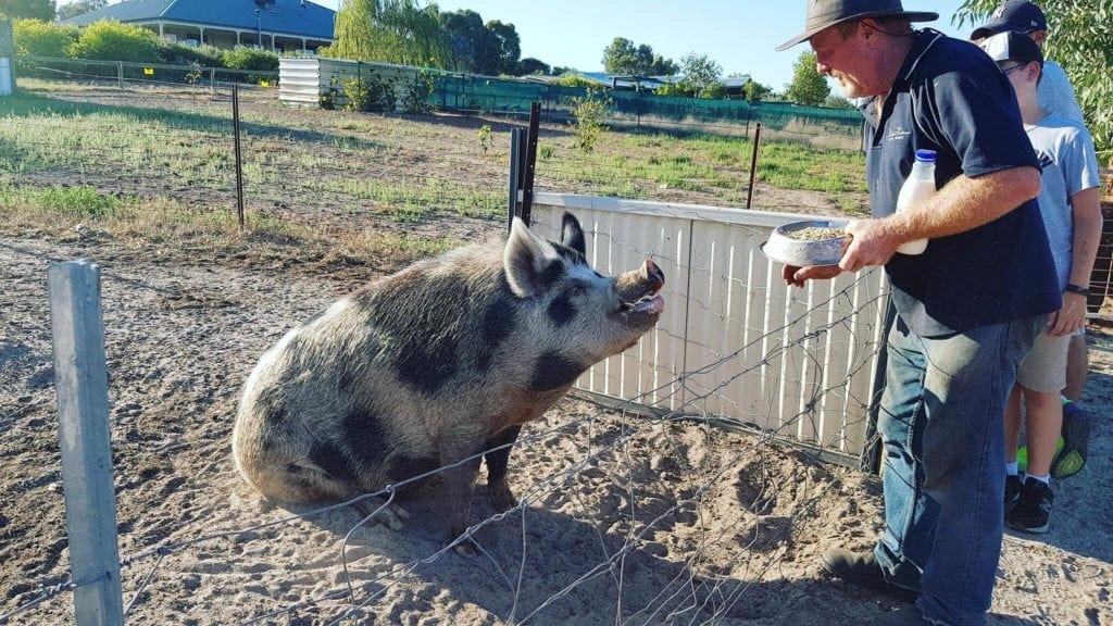 Lavendale Farmstay, York - Seniors / Over 55's Guide to Perth