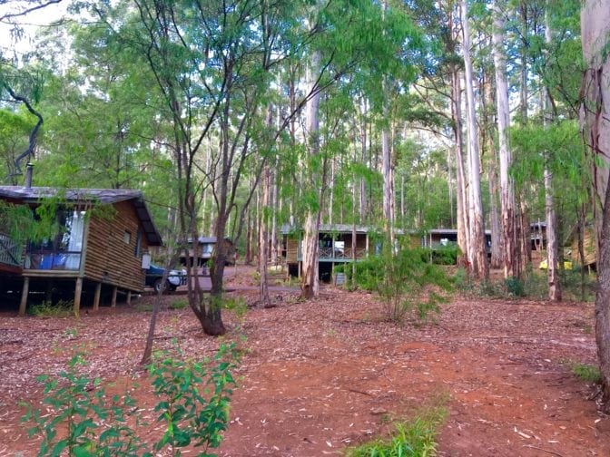 RAC Karri Valley Resort - Buggybuddys guide to Perth