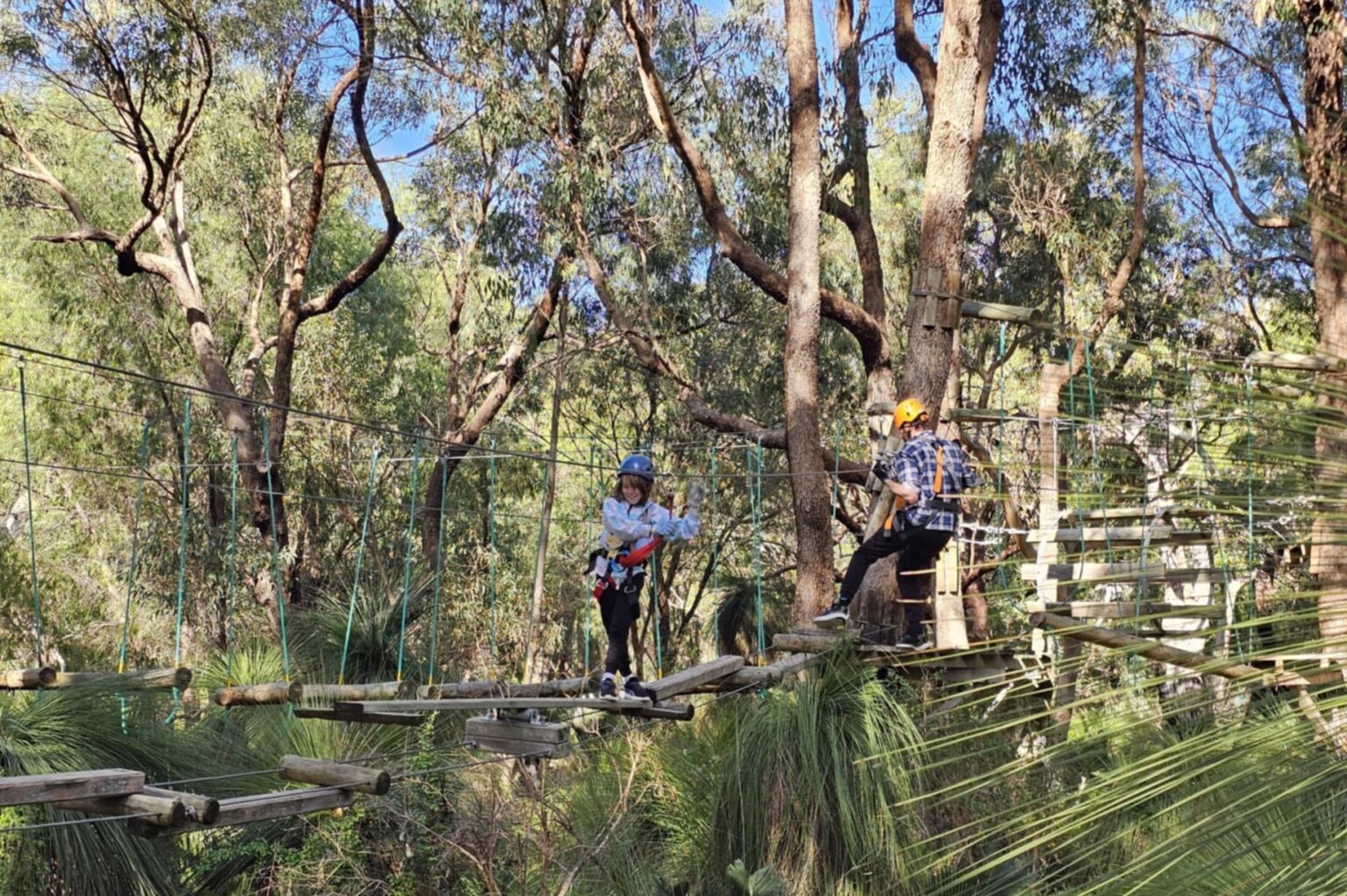 Treetops Adventure, Yanchep National Park - Buggybuddys guide to Perth