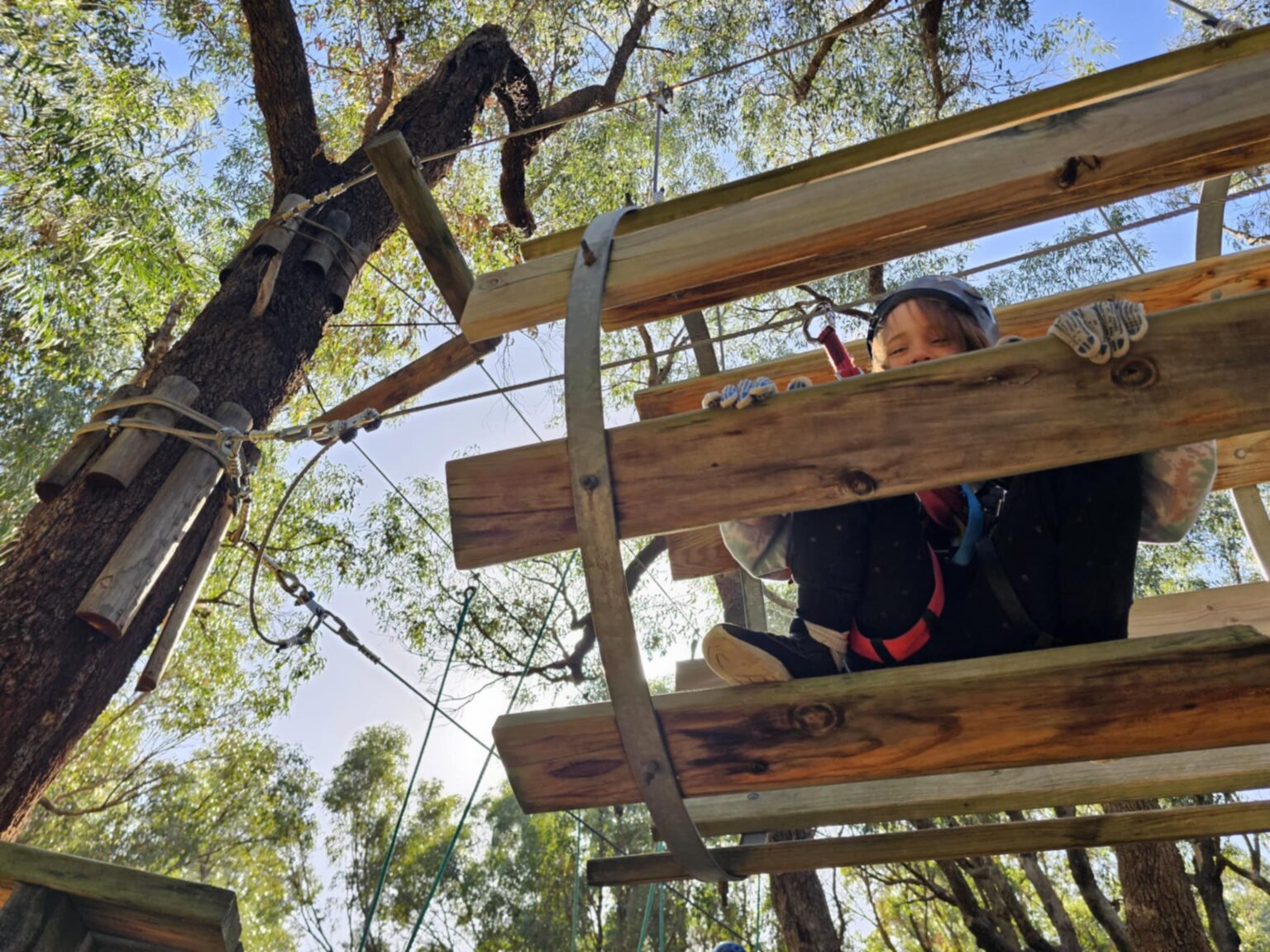 Treetops Adventure, Yanchep National Park - Buggybuddys guide to Perth