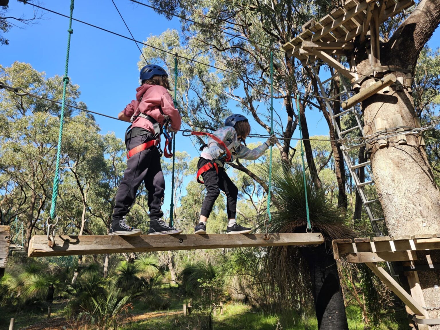 Treetops Adventure, Yanchep National Park - Buggybuddys guide to Perth
