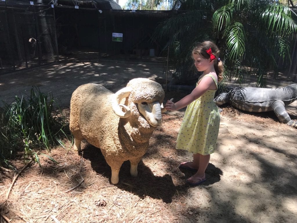The Bird, Fish and Reptile Place, Wattle Grove - Buggybuddys guide to Perth
