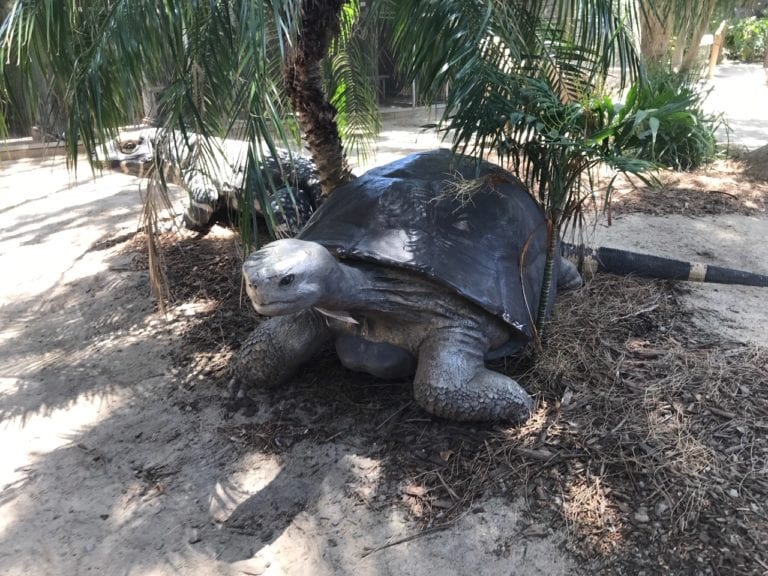 The Bird, Fish and Reptile Place, Wattle Grove - Buggybuddys guide to Perth