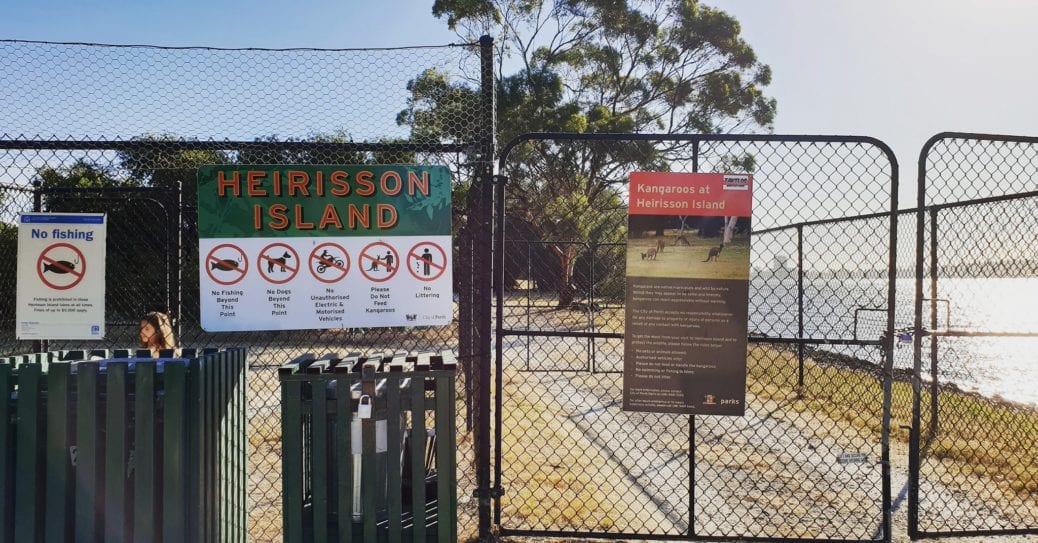 Heirisson Island, Perth - Buggybuddys guide to Perth