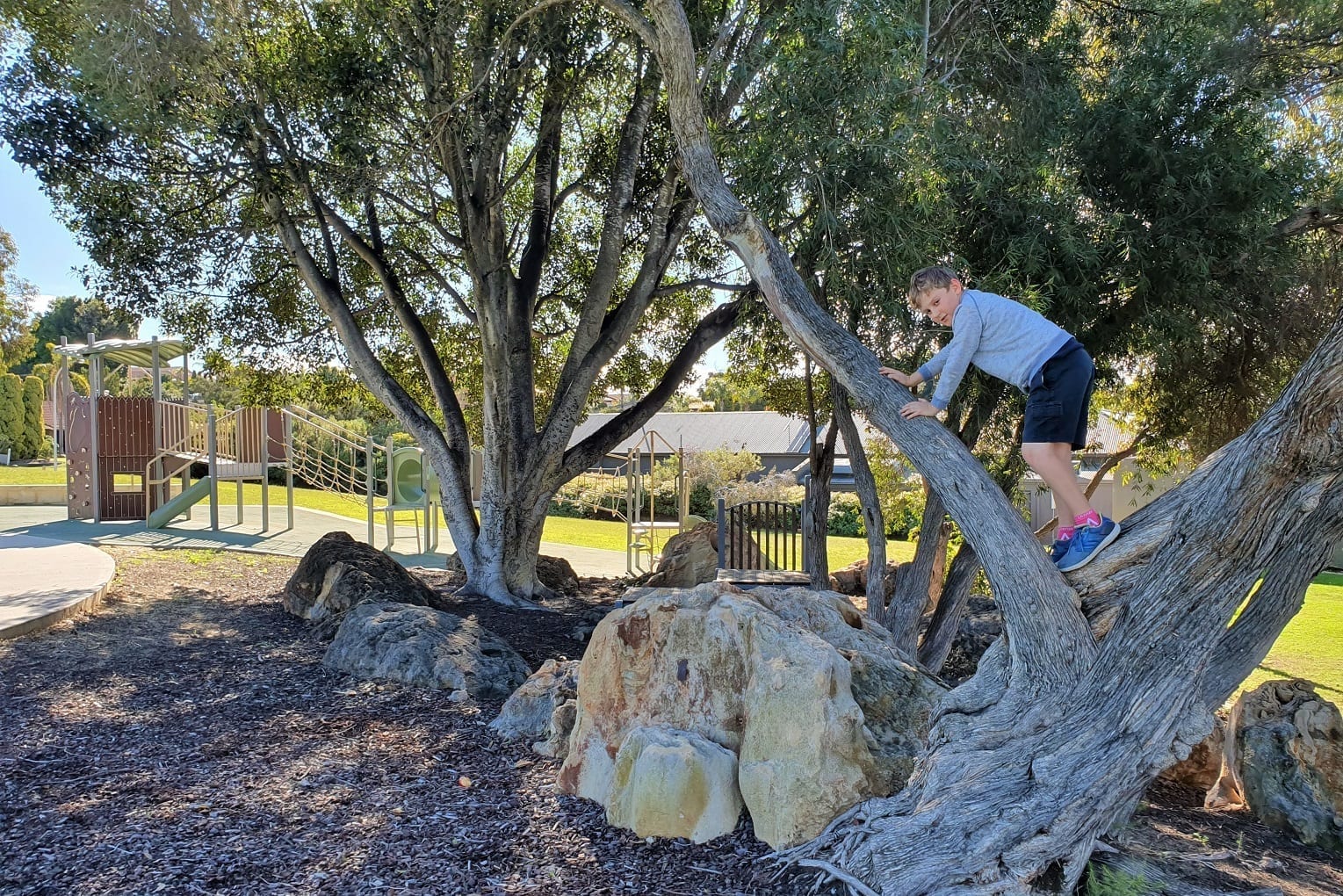 Edgewater Park, Edgewater - Buggybuddys guide for families in Perth