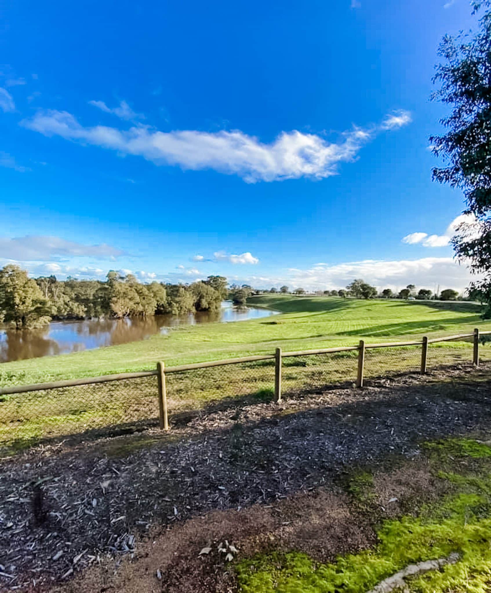 Yagan Memorial Park, Swan Valley - Buggybuddys guide for families in Perth
