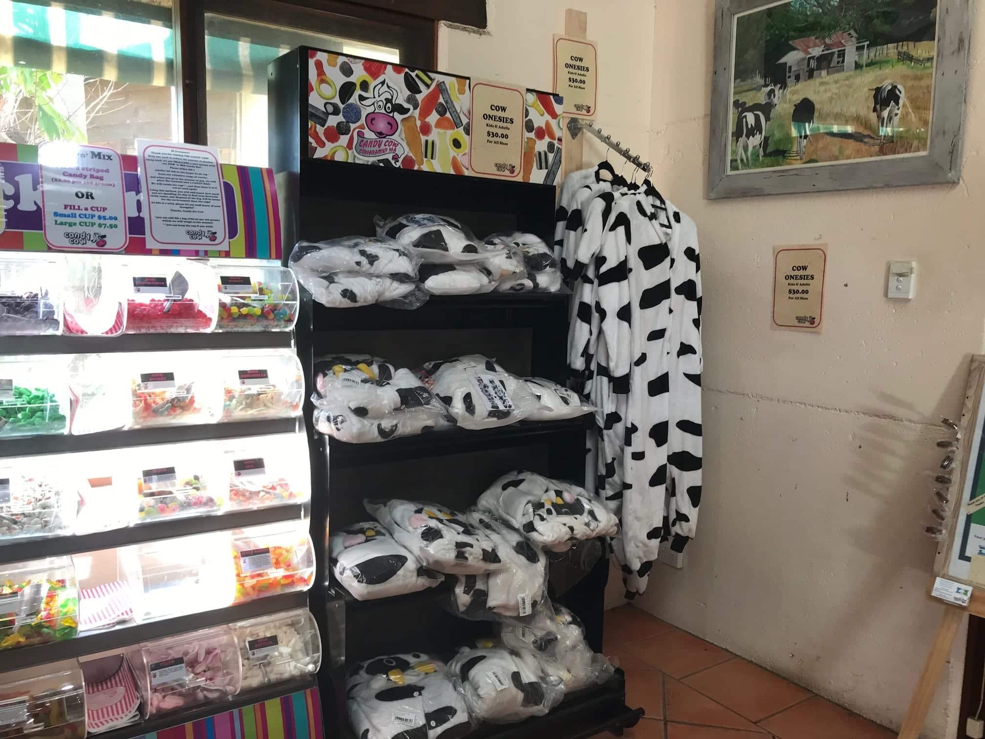 Candy Cow, Cowaramup - plan your next family holiday with our guide