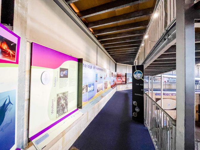 Gravity Discovery Centre, Gingin - Buggybuddys guide to Perth