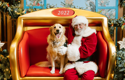 Santa Perth - list of the best places to get Santa Pictures Perth ...
