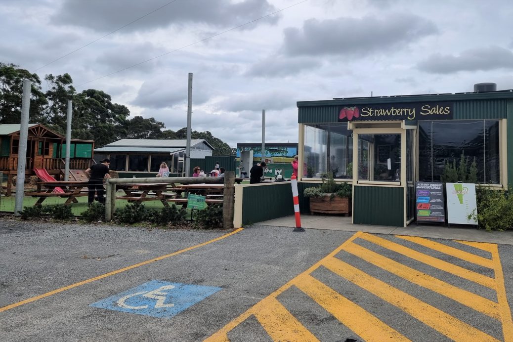 Handasyde Strawberry Farm, Albany - Buggybuddys guide to Perth