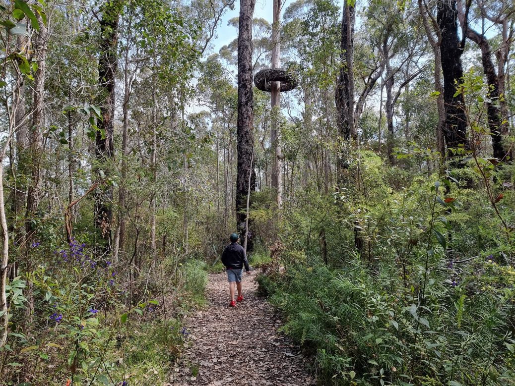 Understory Art and Nature Trail, Northcliffe - Buggybuddys guide to Perth