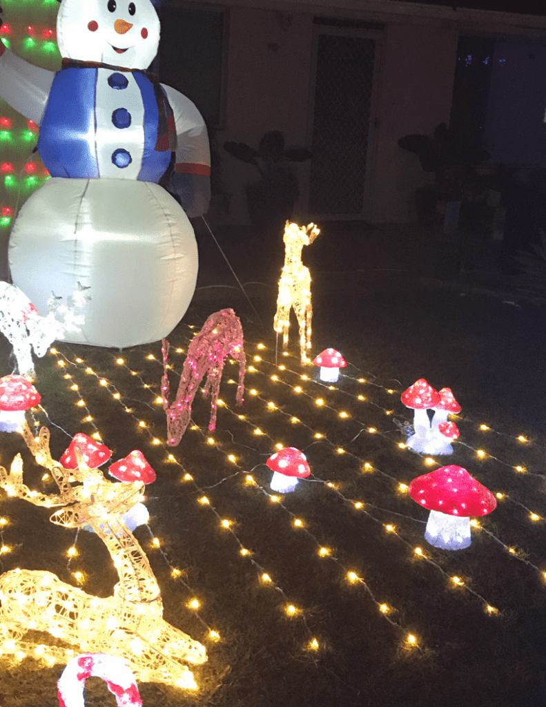 Christmas Lights Perth 2024 - The BEST Christmas Light Displays