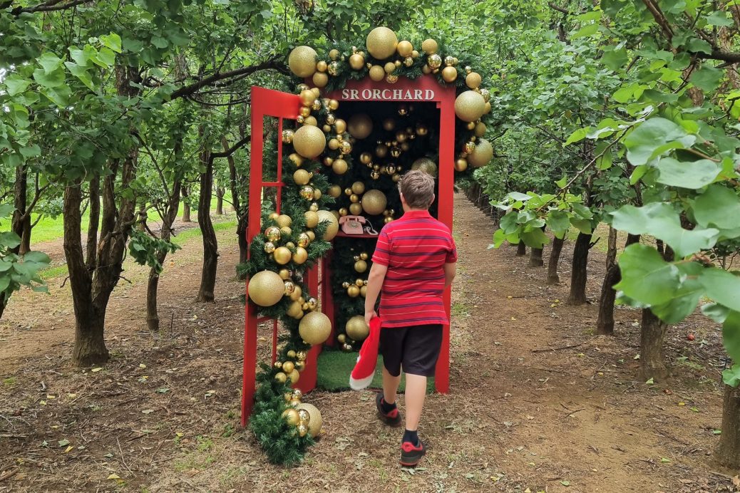 S&R Orchard Christmas and Fruit Picking Festival, Walliston ...