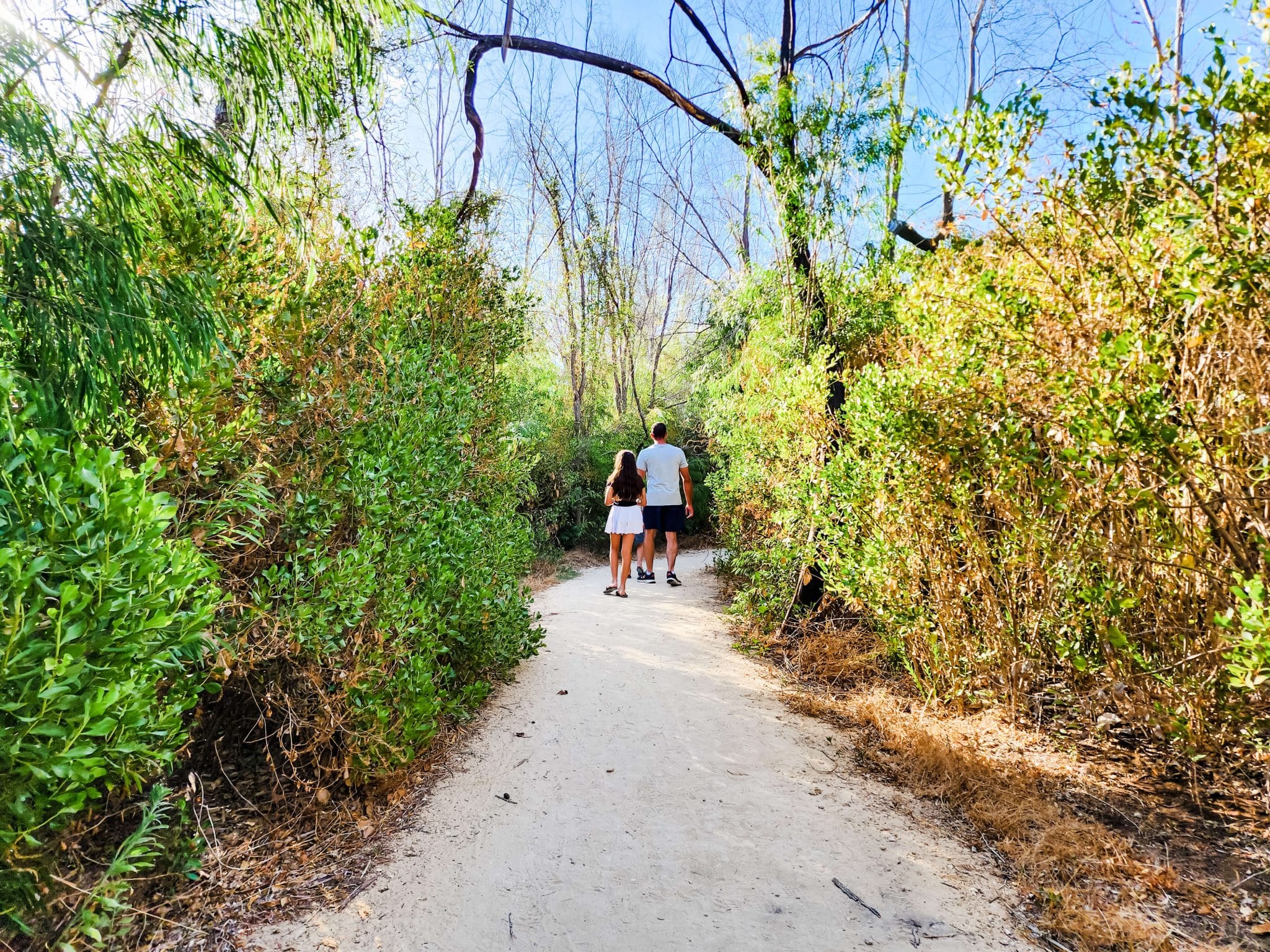 Yanchep National Park - Buggybuddys guide to Perth