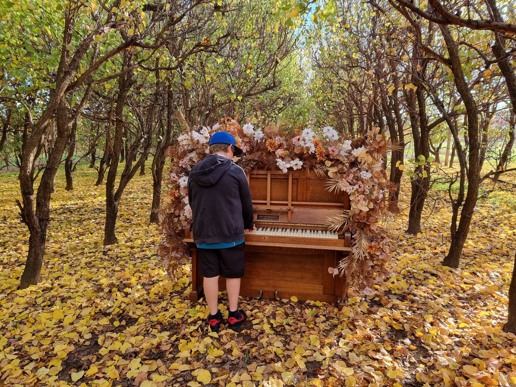 S&R Orchard Autumn Festival, Walliston - Buggybuddys guide to Perth