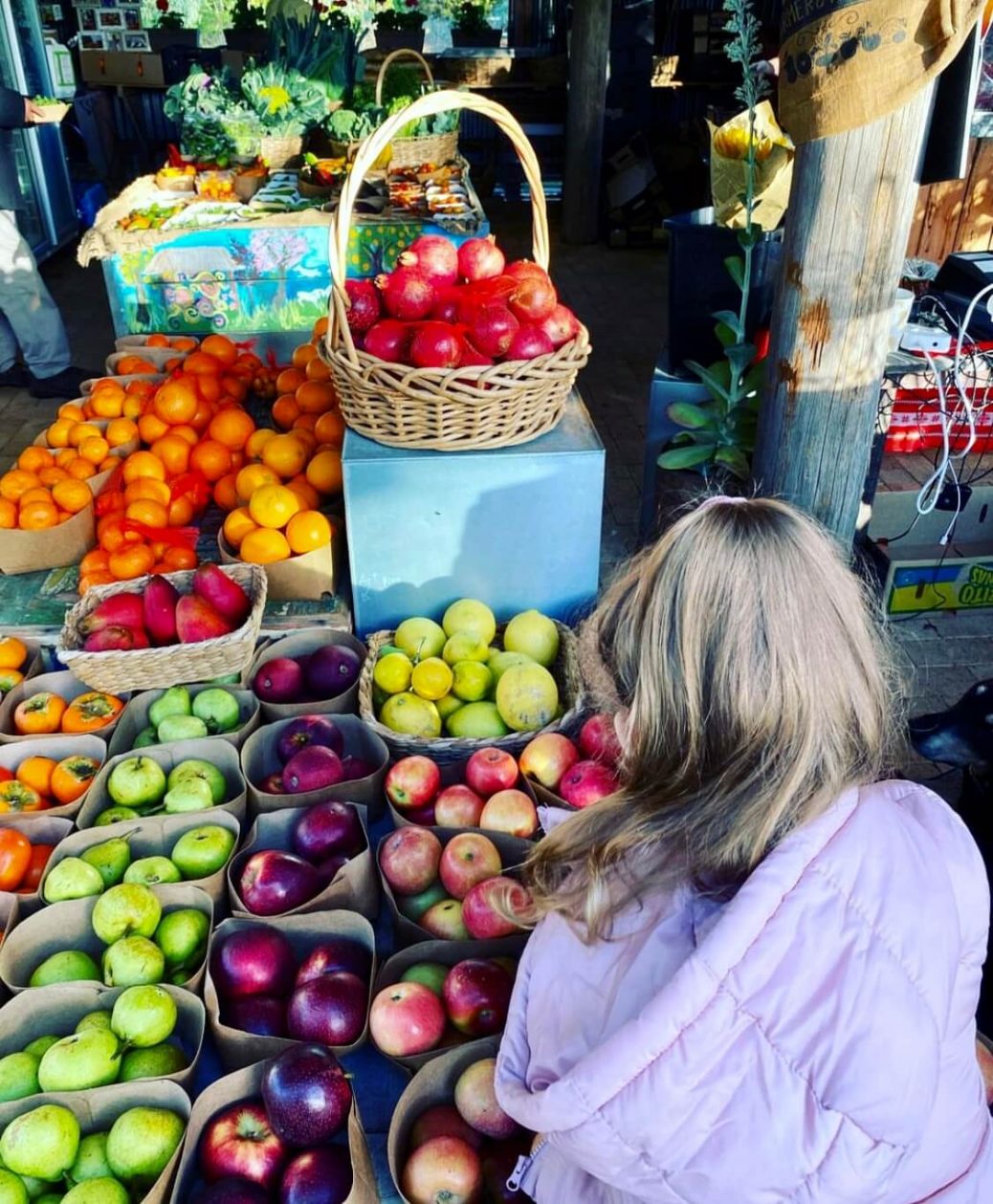 Keller's Farm, Swan Valley - Buggybuddys guide to Perth