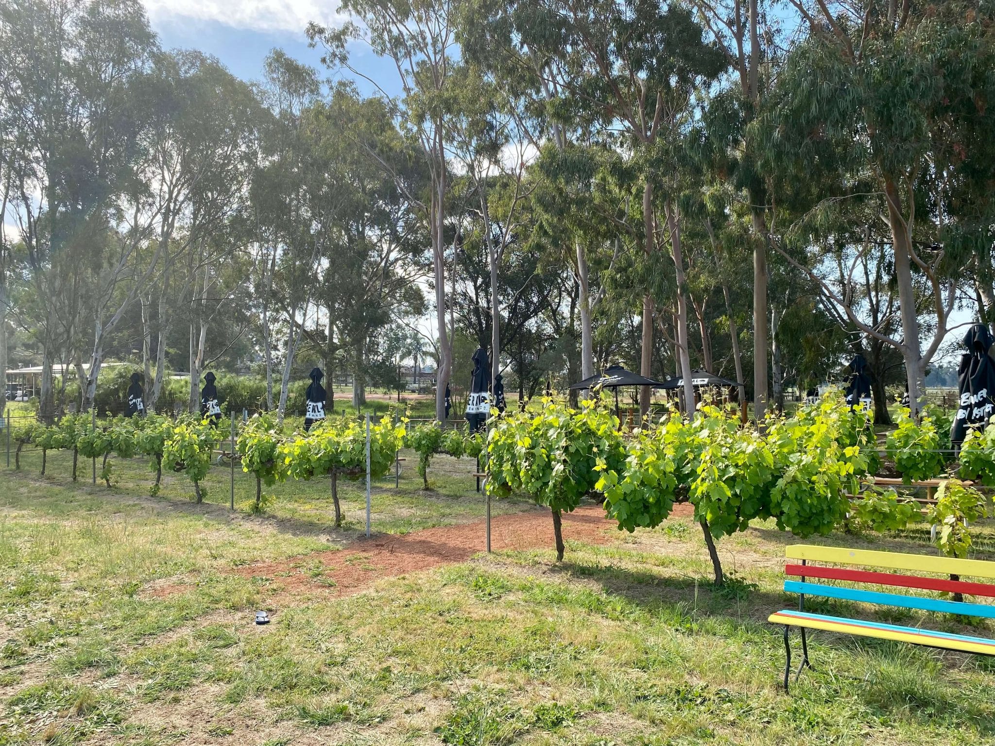 Baskerville Tavern, Swan Valley - Buggybuddys guide to Perth