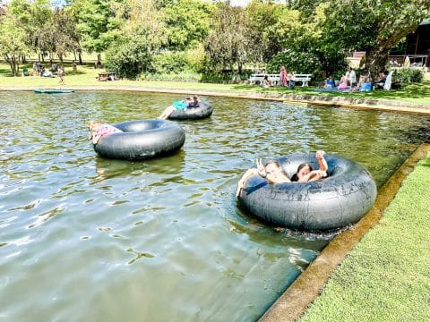 Fonty's Pool - Everything you Need to Know