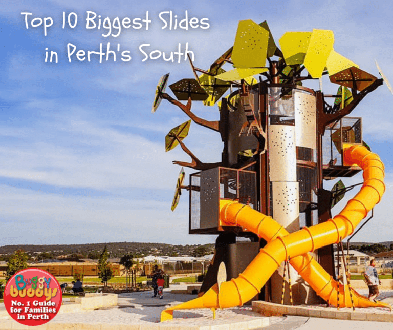 The Biggest Slides in Perth’s South - Buggybuddys guide to Perth