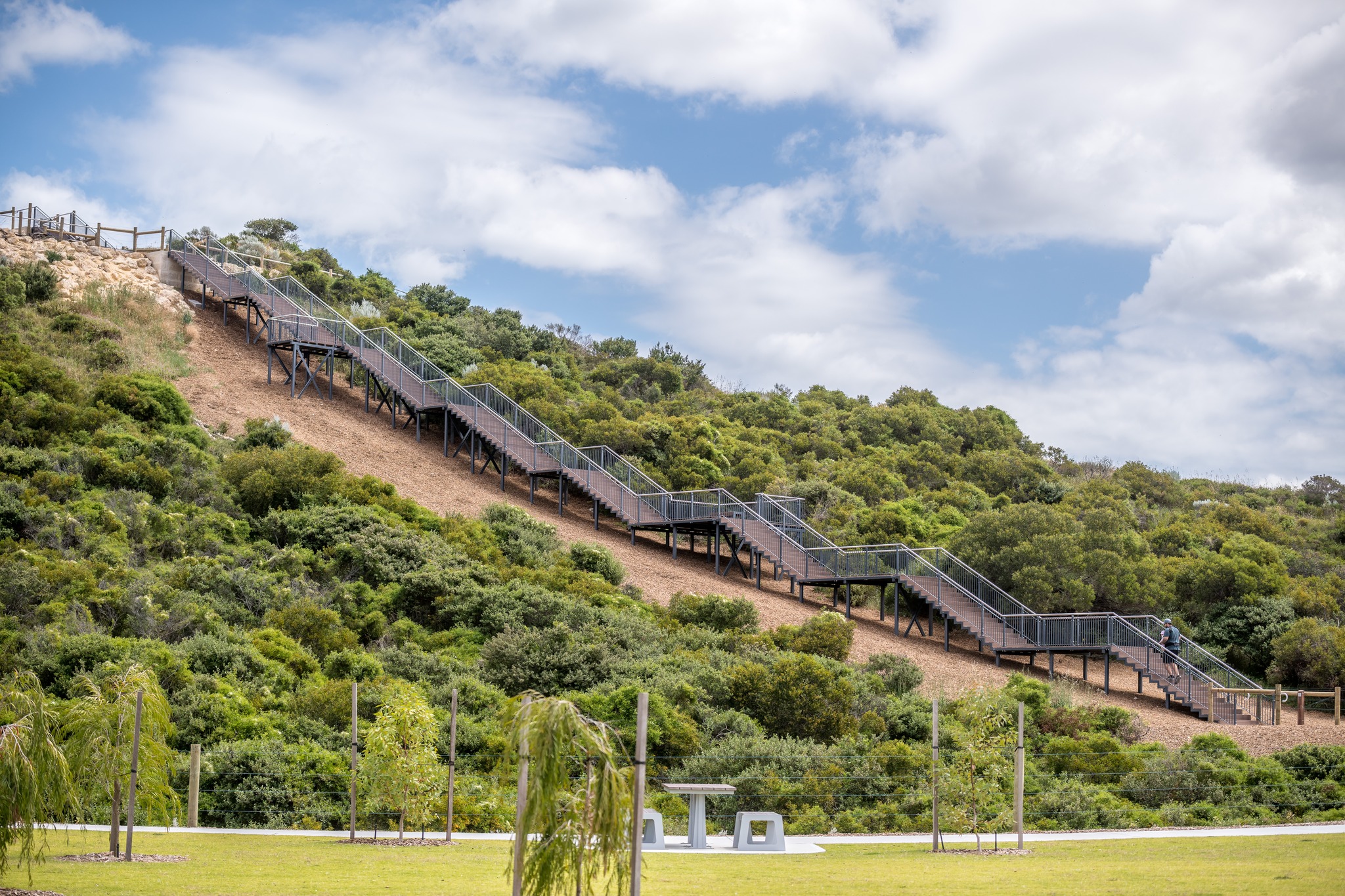 Treehouse Cove Playground, Golden Bay - Buggybuddys guide for families ...