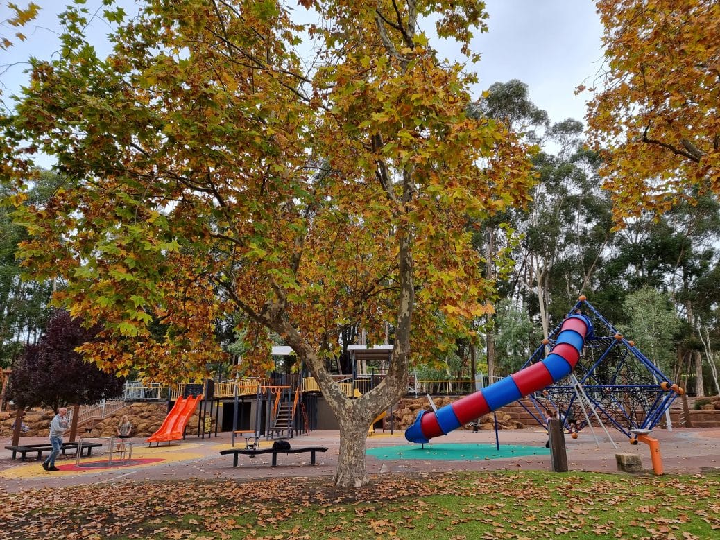 Where to Find Autumn Leaves in Perth - Buggybuddys guide to Perth