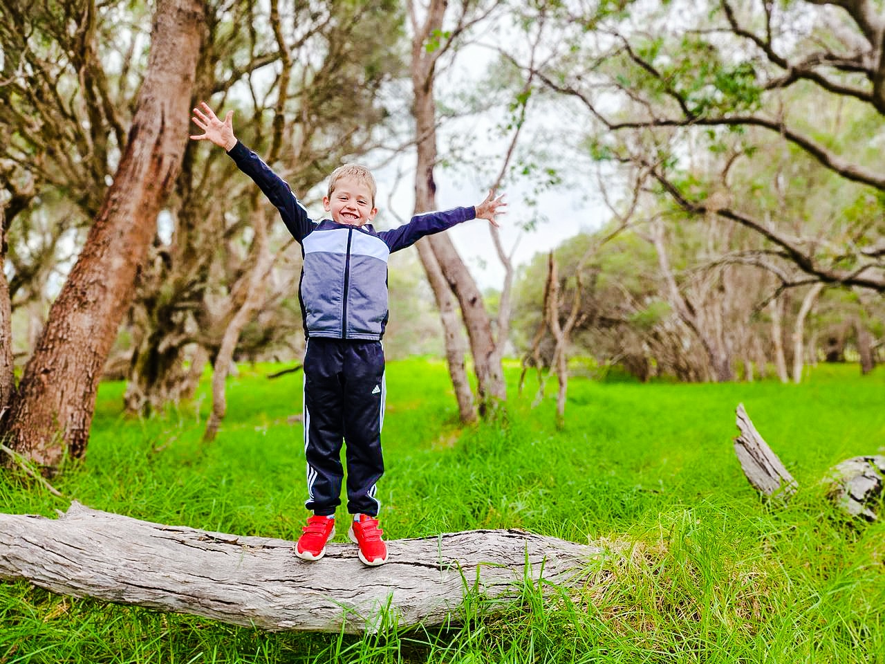Perry's Paddock, City of Wanneroo - Buggybuddys guide to Perth