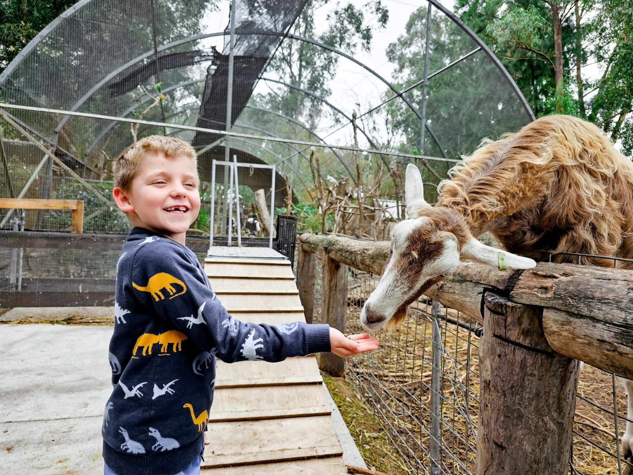 Ranger Red's Zoo & Conservation Park, Pinjarra - Buggybuddys guide to Perth